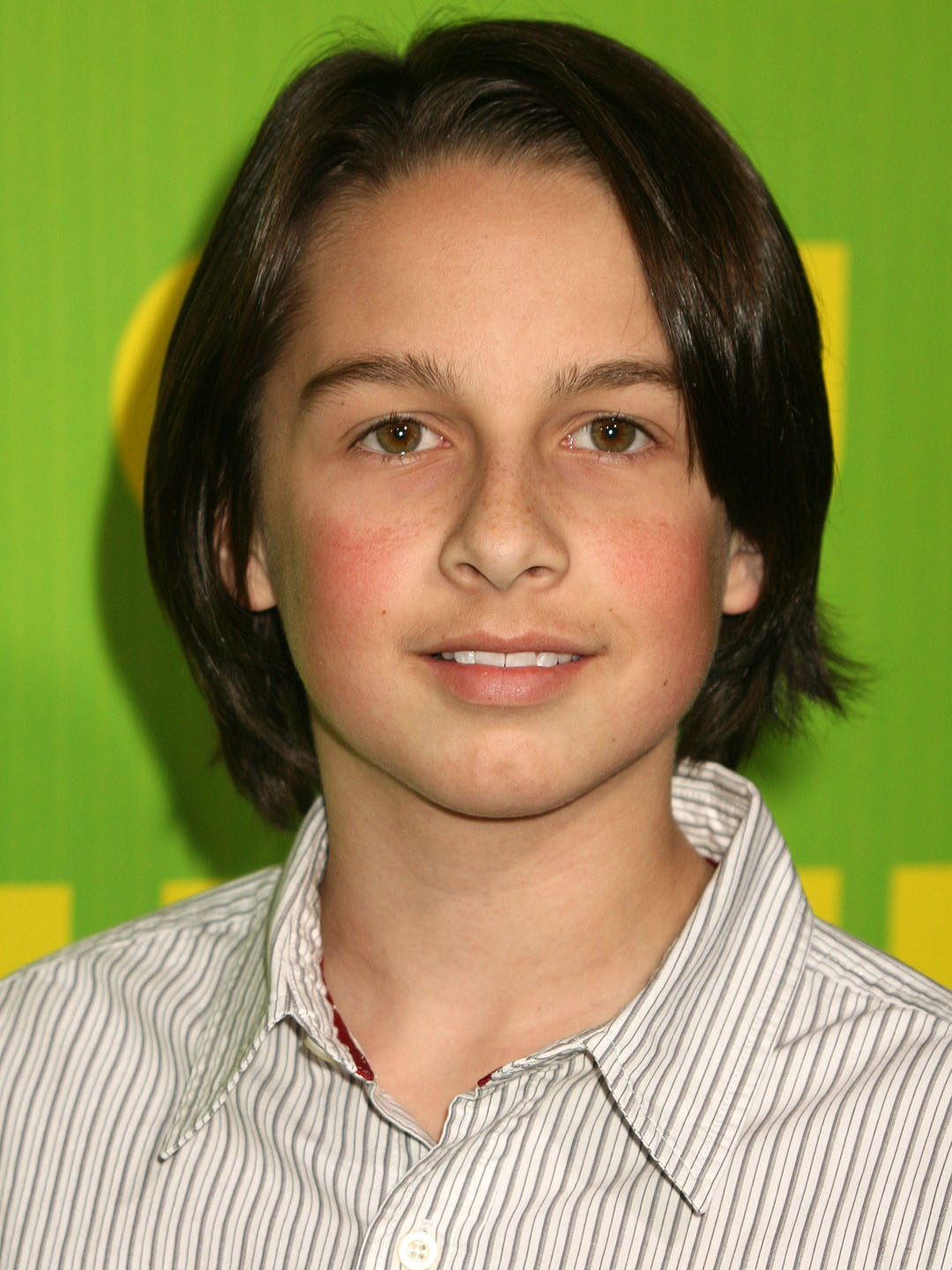 Mitch Holleman - Actor