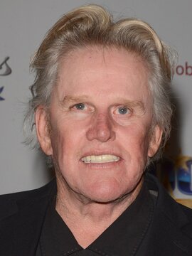 Gary Busey - Actor, Singer, Musician