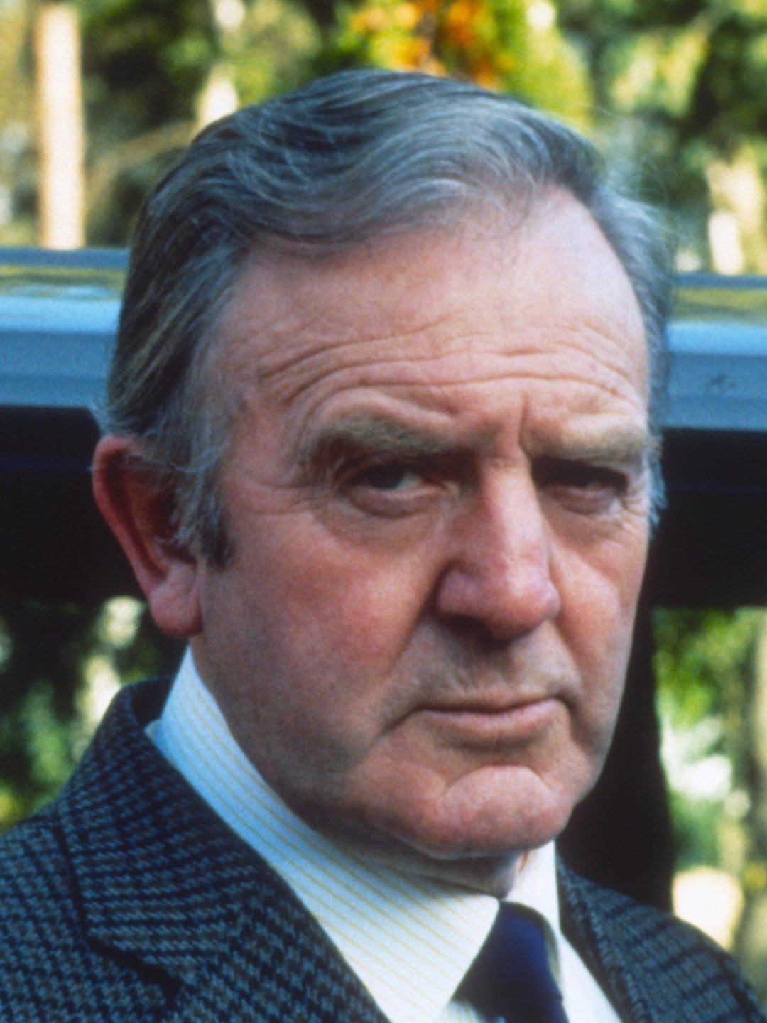 Glyn Houston - Actor