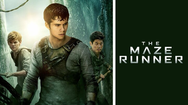 The Maze Runner - Movie - Where To Watch