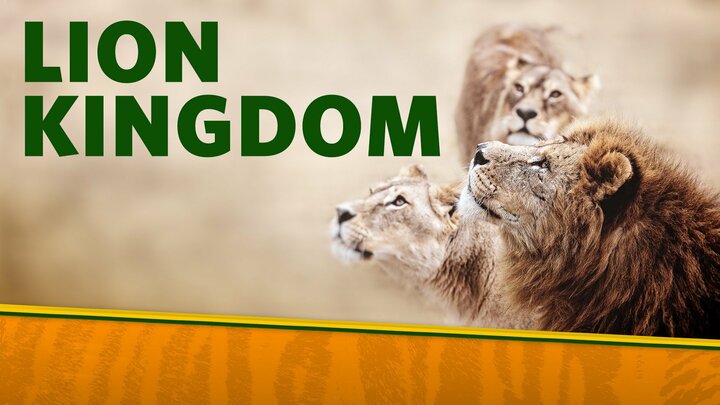Lion Kingdom - Nat Geo Wild Series - Where To Watch