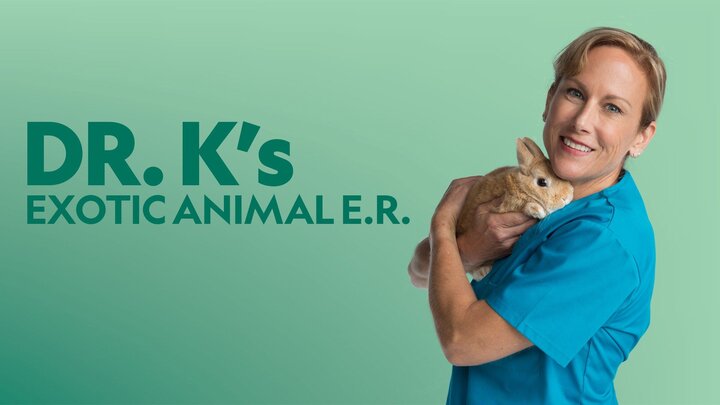 Dr. K's Exotic Animal ER - Nat Geo Reality Series - Where To Watch