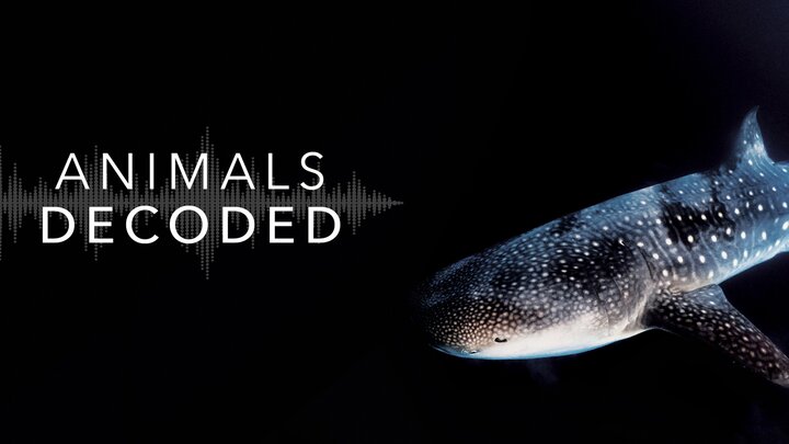 Animals Decoded - Smithsonian Channel Reality Series - Where To Watch