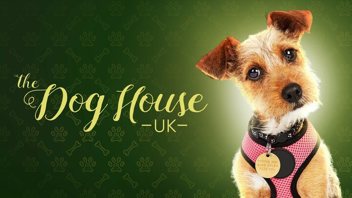 The Dog House: UK - HBO Max Reality Series - Where To Watch