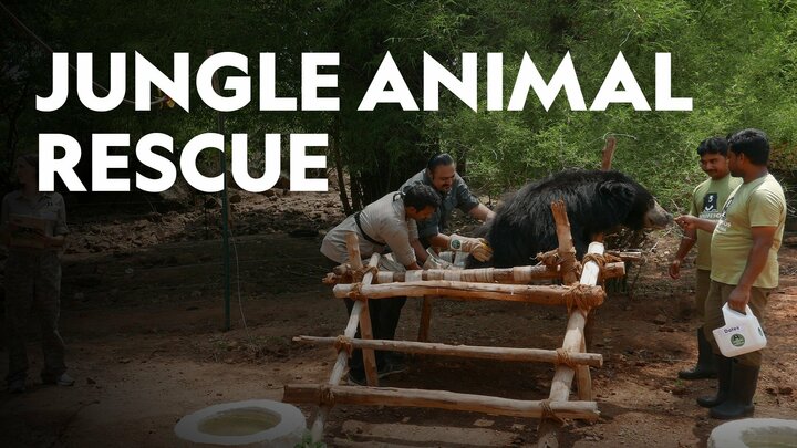 Jungle Animal Rescue - Nat Geo Series - Where To Watch