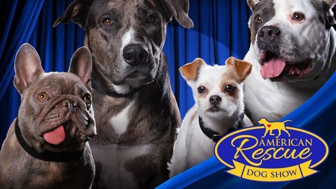 The Heartwarming 2019 American Rescue Dog Show Expands to Two Nights
