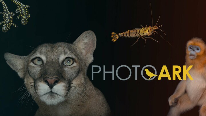 Photo Ark - Nat Geo Miniseries - Where To Watch