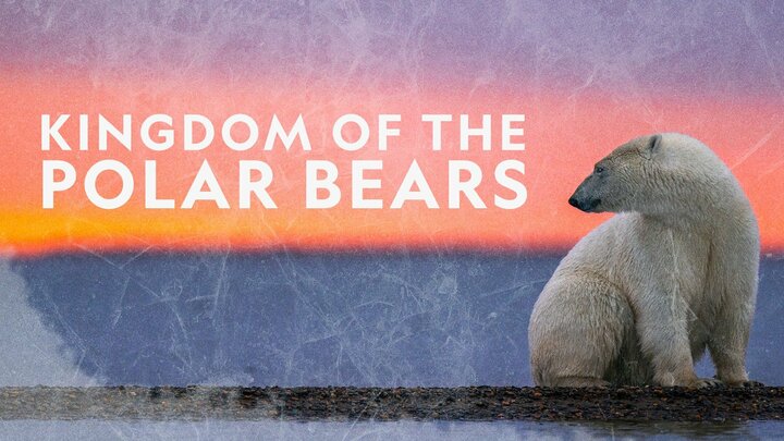 Kingdom of the Polar Bears - Nat Geo Wild Series - Where To Watch