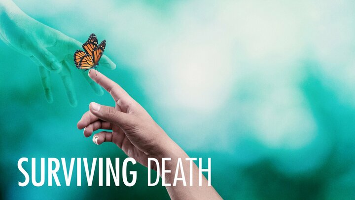 Surviving Death - Netflix Series - Where To Watch