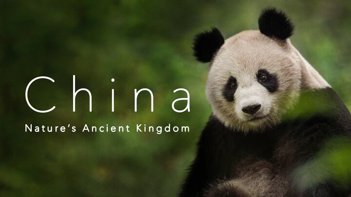 China: Nature's Ancient Kingdom - BBC America Series