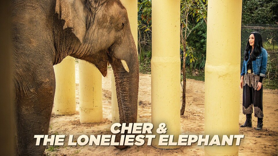 'Cher & The Loneliest Elephant' Follows a Music Icon's Race to Save ...