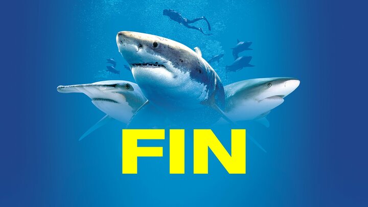 Fin - Discovery+ Documentary - Where To Watch