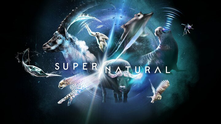 Super/Natural - Disney+ Series - Where To Watch
