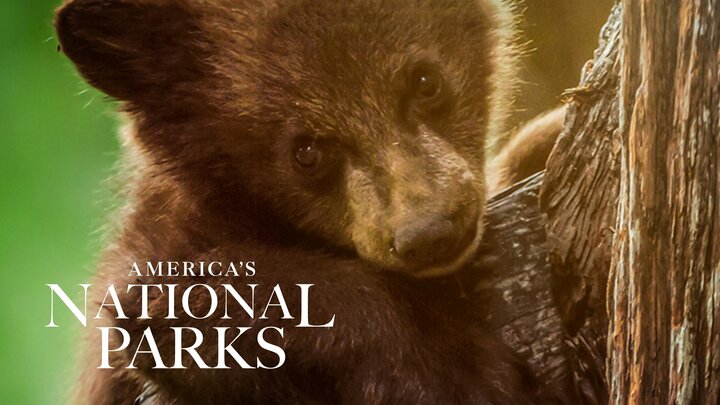 America's National Parks - Nat Geo Docuseries - Where To Watch