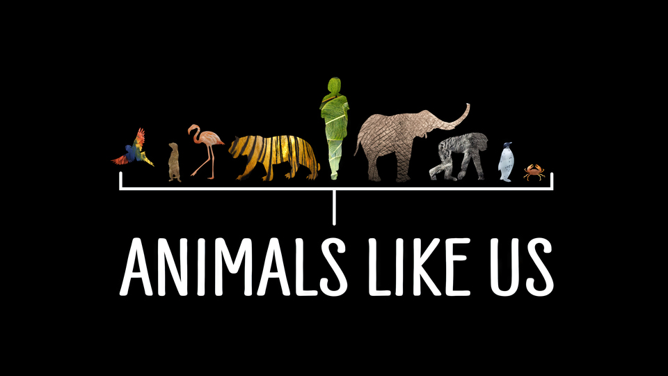 Animals Like Us - Nat Geo Wild & Disney+ Series