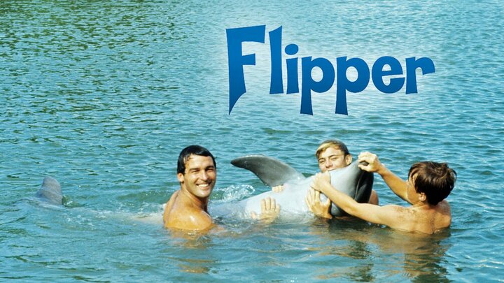 Flipper - NBC Series - Where To Watch