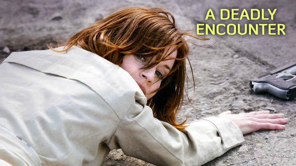 A Deadly Encounter - Movie - Where To Watch